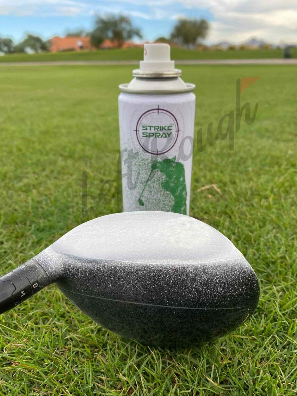 Find the Sweet Spot: The Strike Spray Review - The Left Rough