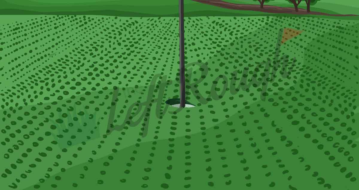 Golf's Semi-Annual Inconvenience: How to Deal with Aerated Greens - The ...