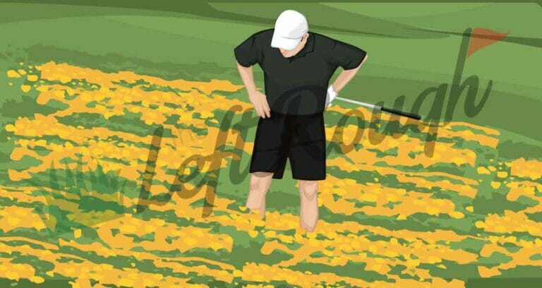 Avoid the Confusion: The Lost Golf Ball Rule 101 - The Left Rough