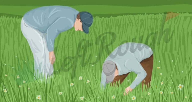 Avoid the Confusion: The Lost Golf Ball Rule 101 - The Left Rough